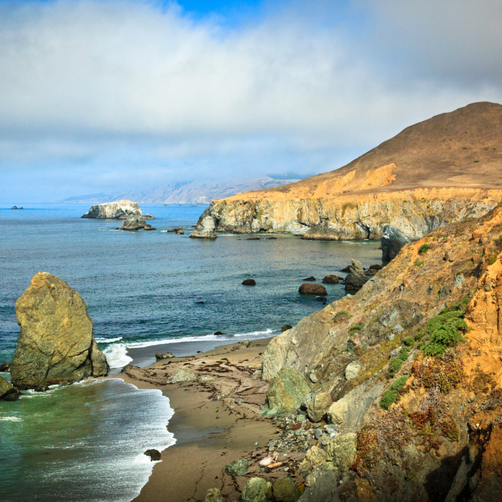 Member Packet – Wine Institute Export Program